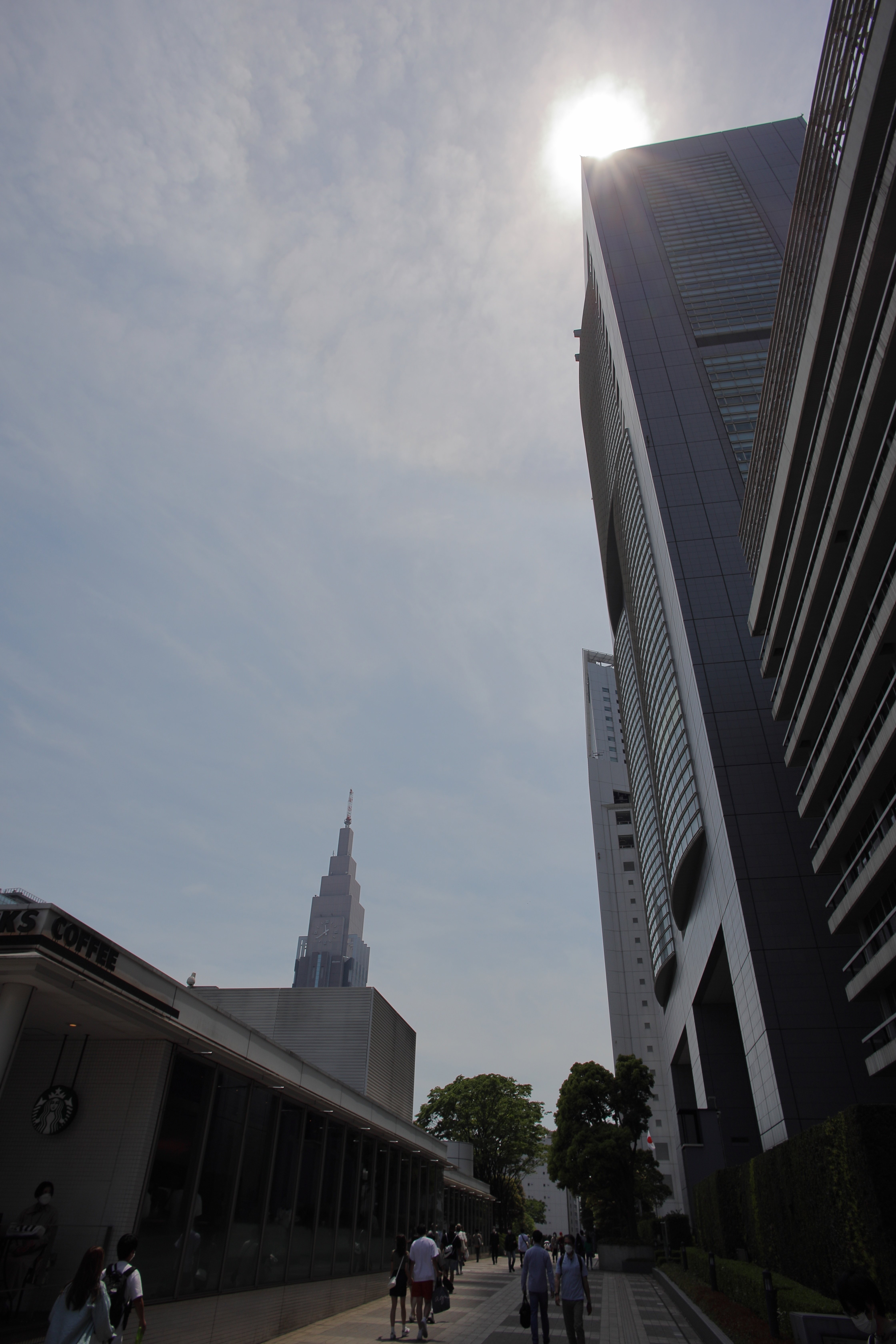 Voigtländer COLOR-SKOPAR 20mm F3.5 SL II N ASPHERICAL導入|teru Voigtländer COLOR-SKOPAR 20mm F3.5 SL II N ASPHERICAL導入|teru