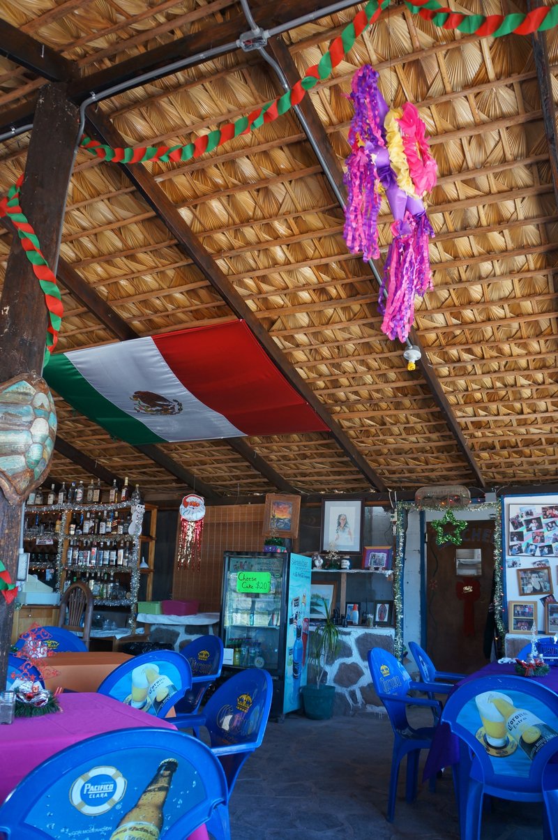 4回目のメキシコキャンプ②くまの大けが｜みかどん（Mikako Hoshi)｜note