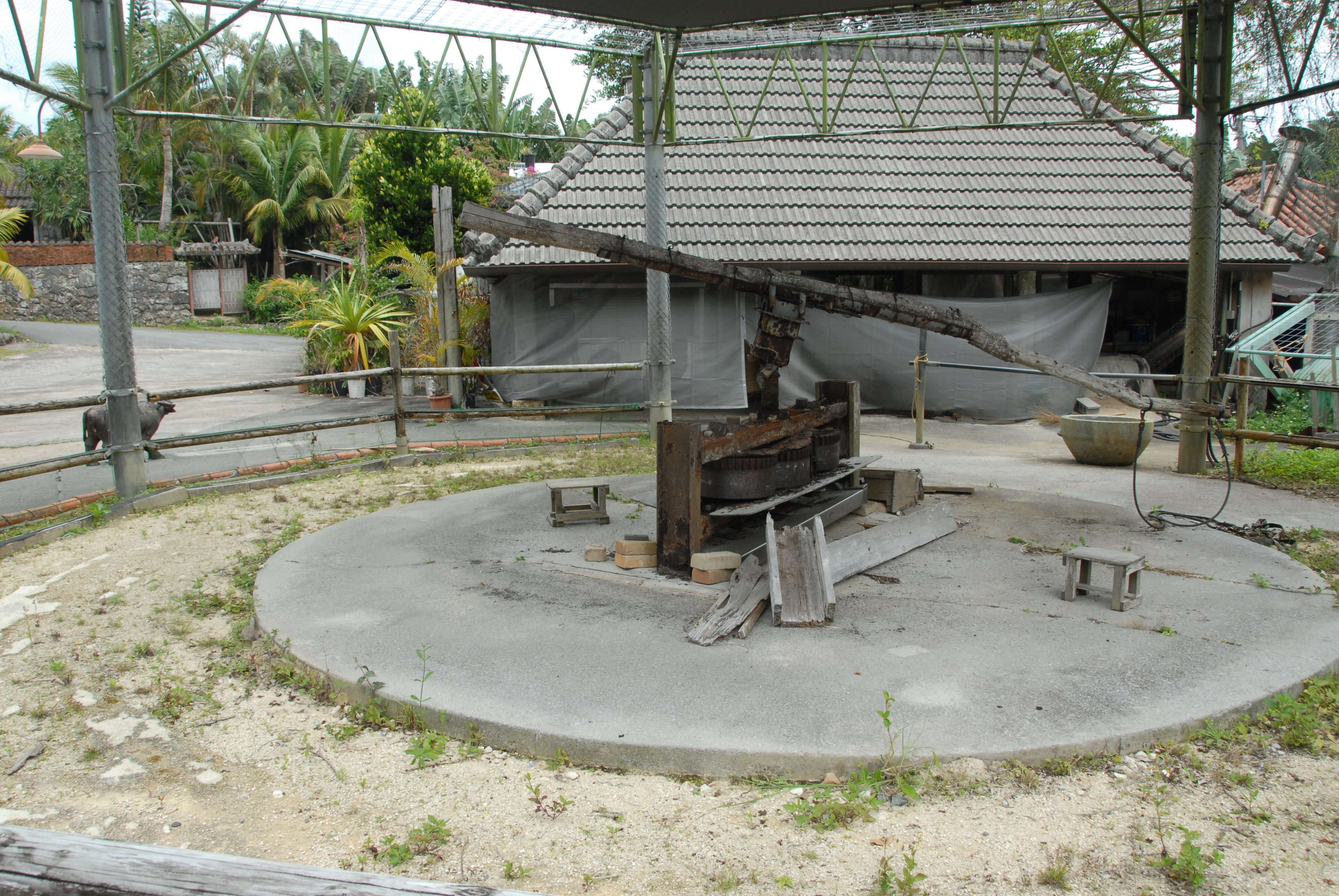 琉球村の情景｜38gi.ryu