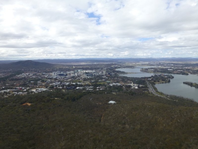 Forty years…｜Ryo HINATA-YAMAGUCHI（山口亮）｜note