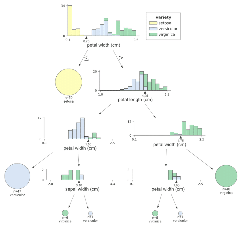 Pythonライブラリ(決定木の可視化)：dtreeviz｜KIYO