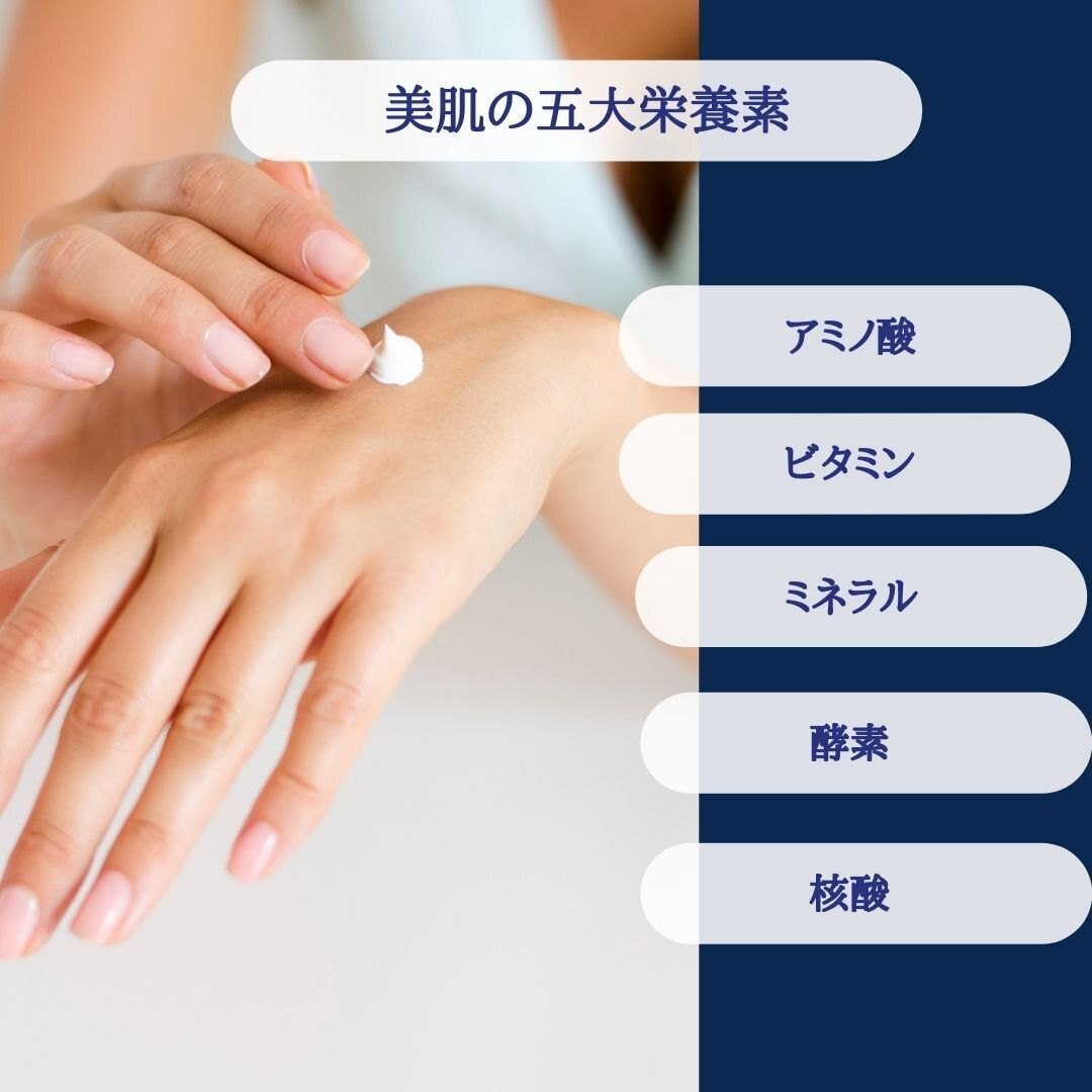 魅惑のプラセンタ｜Medical Beauty Salon INARI