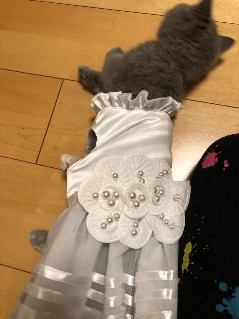 みるめのドレス。｜minzaburou