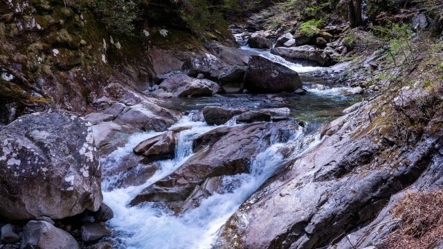 【用語解説】魔の川・死の谷・ダーウィンの海ってどんな意味?|株式会社日本能率協会コンサルティング(jmac)