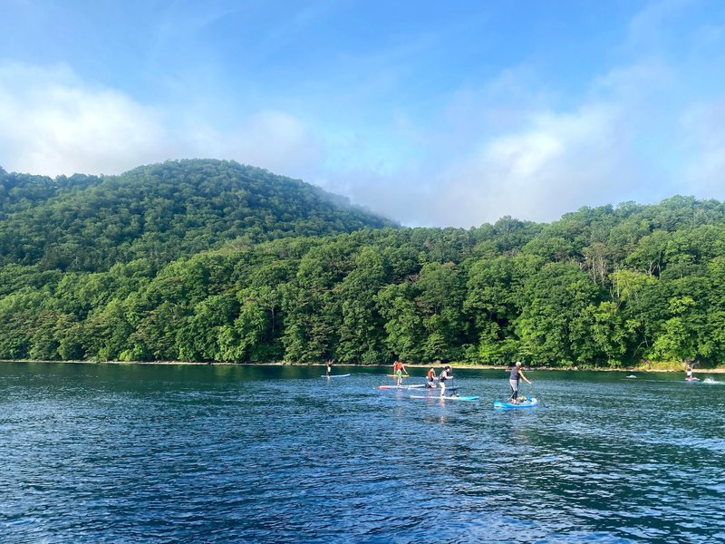POOLO4期 特待生の応募を開始いたします！【締め切りました】 ｜TABIPPO｜note