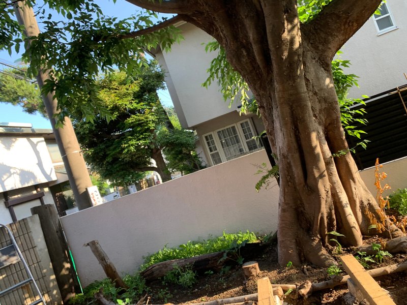 せたがやたがやせ 2022/05/30｜eiichirho_inui