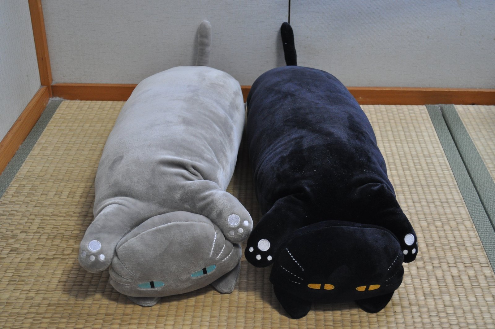 ニトリのネコにいろいろ演じてもらいました Nitori cats in various situations｜MURA Tadasi (村 正)