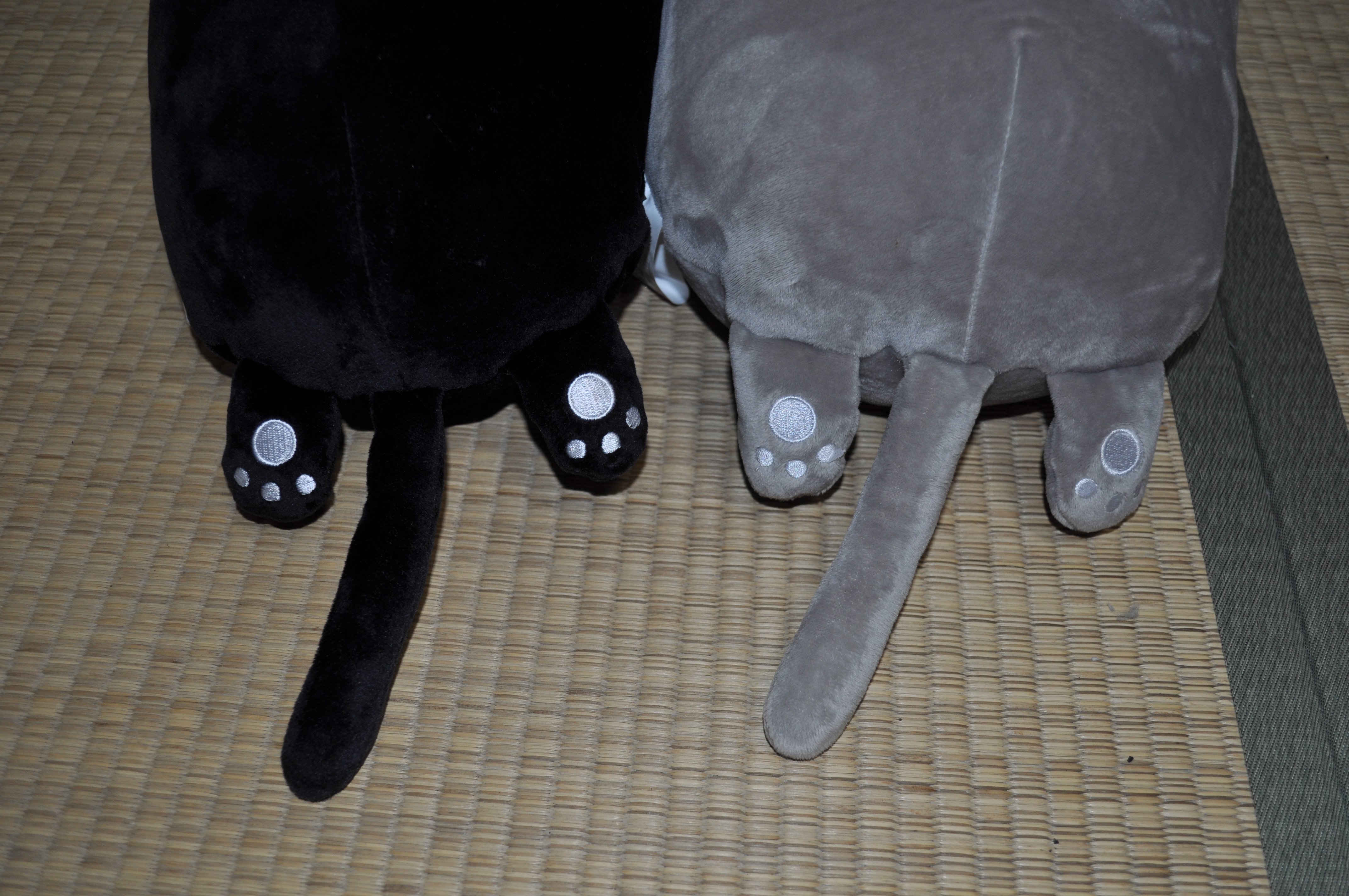 ニトリのネコにいろいろ演じてもらいました Nitori cats in various situations｜MURA Tadasi (村 正)