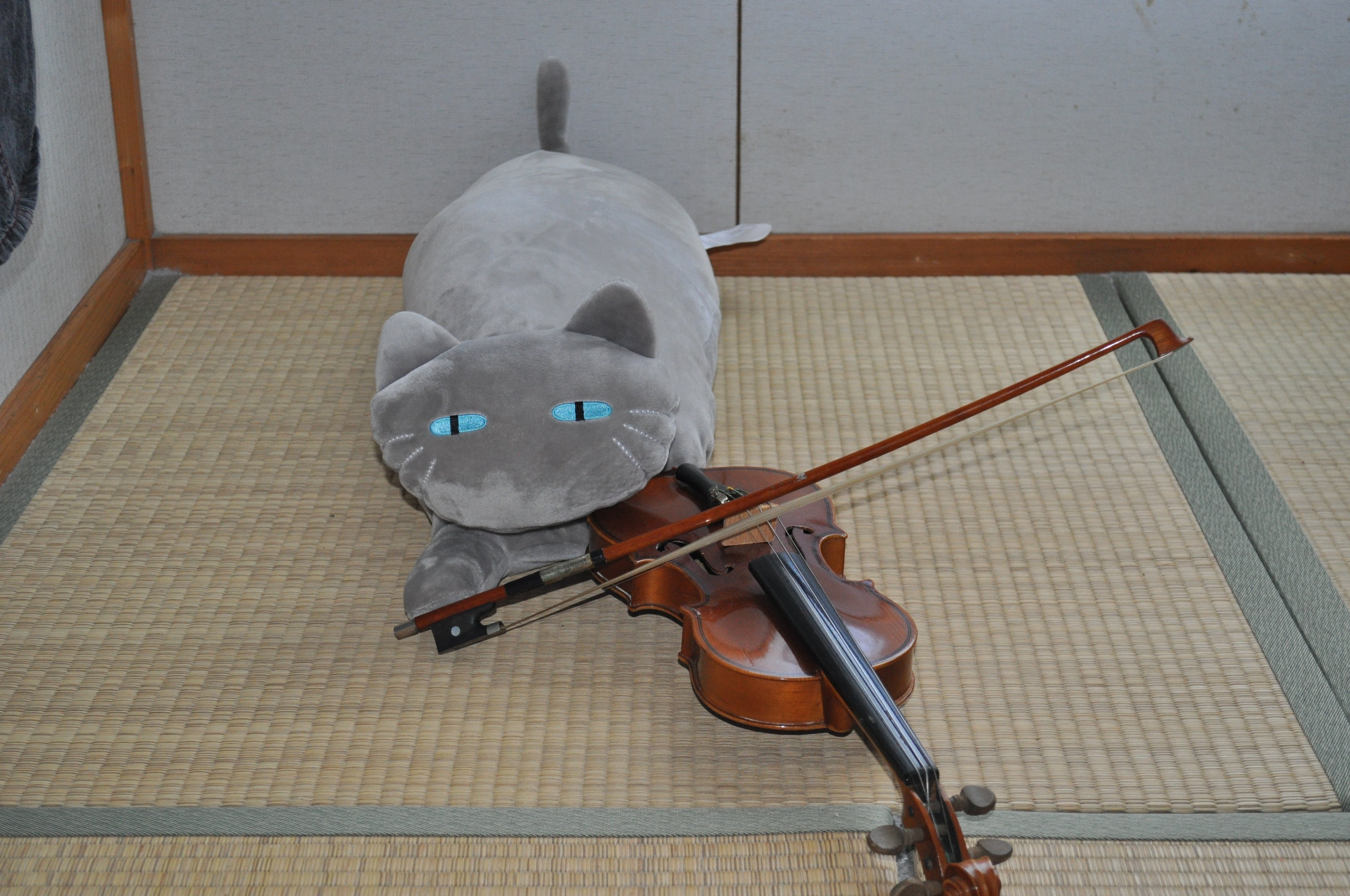 ニトリのネコにいろいろ演じてもらいました Nitori cats in various situations｜MURA Tadasi (村 正)