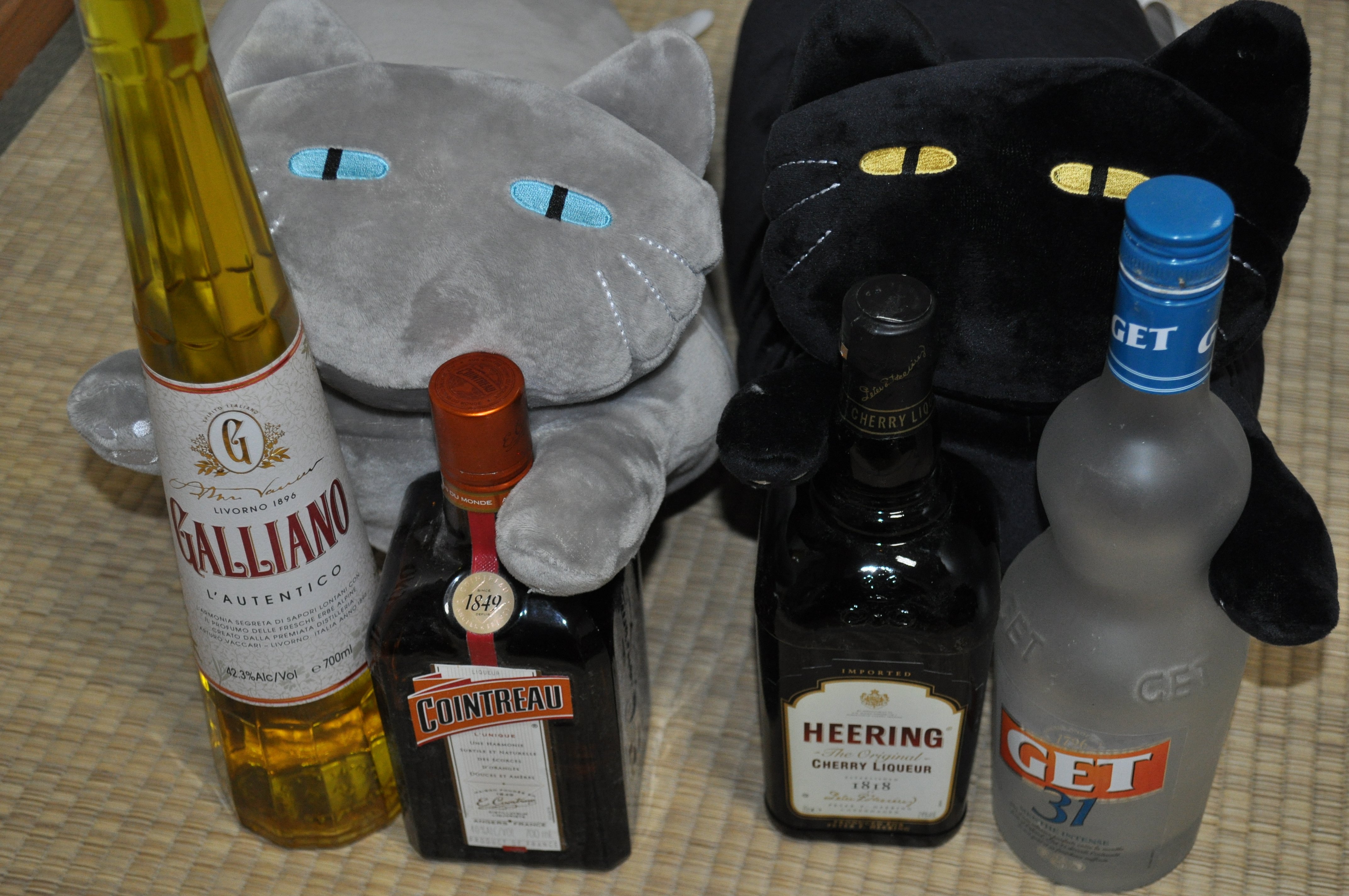 ニトリのネコにいろいろ演じてもらいました Nitori cats in various situations｜MURA Tadasi (村 正)