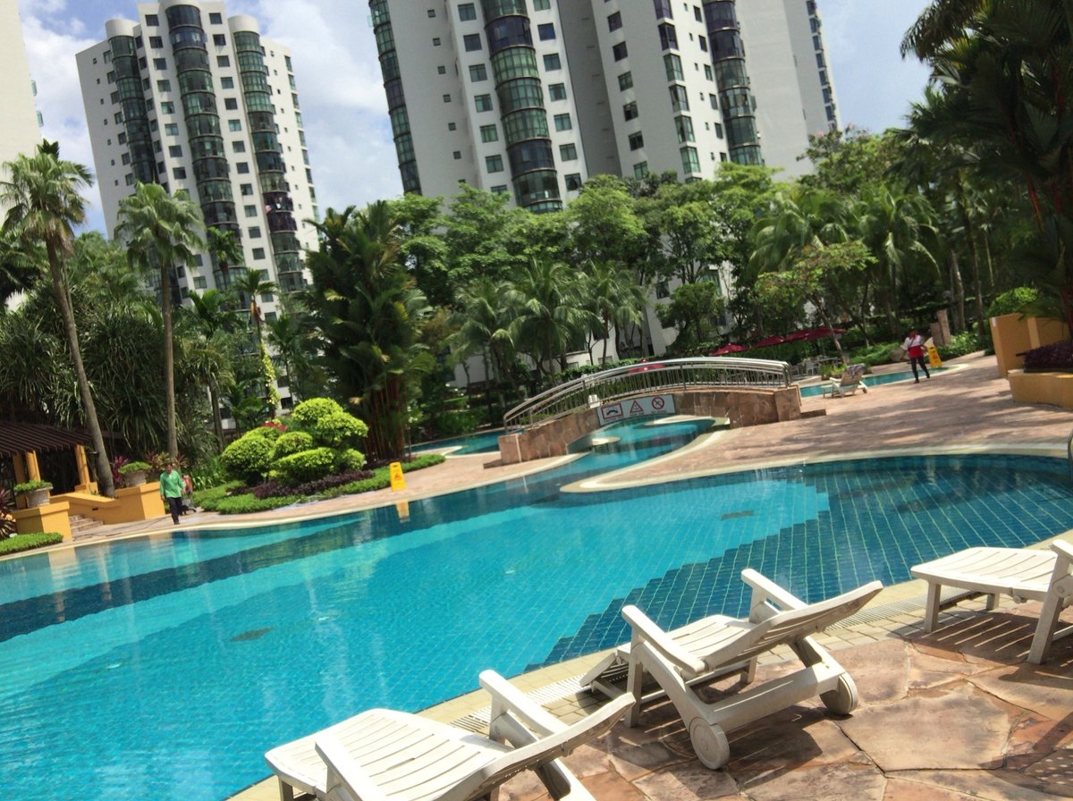 大学生がプロになるまで（実体験を踏まえて）｜稲葉修土 Shuto Inaba