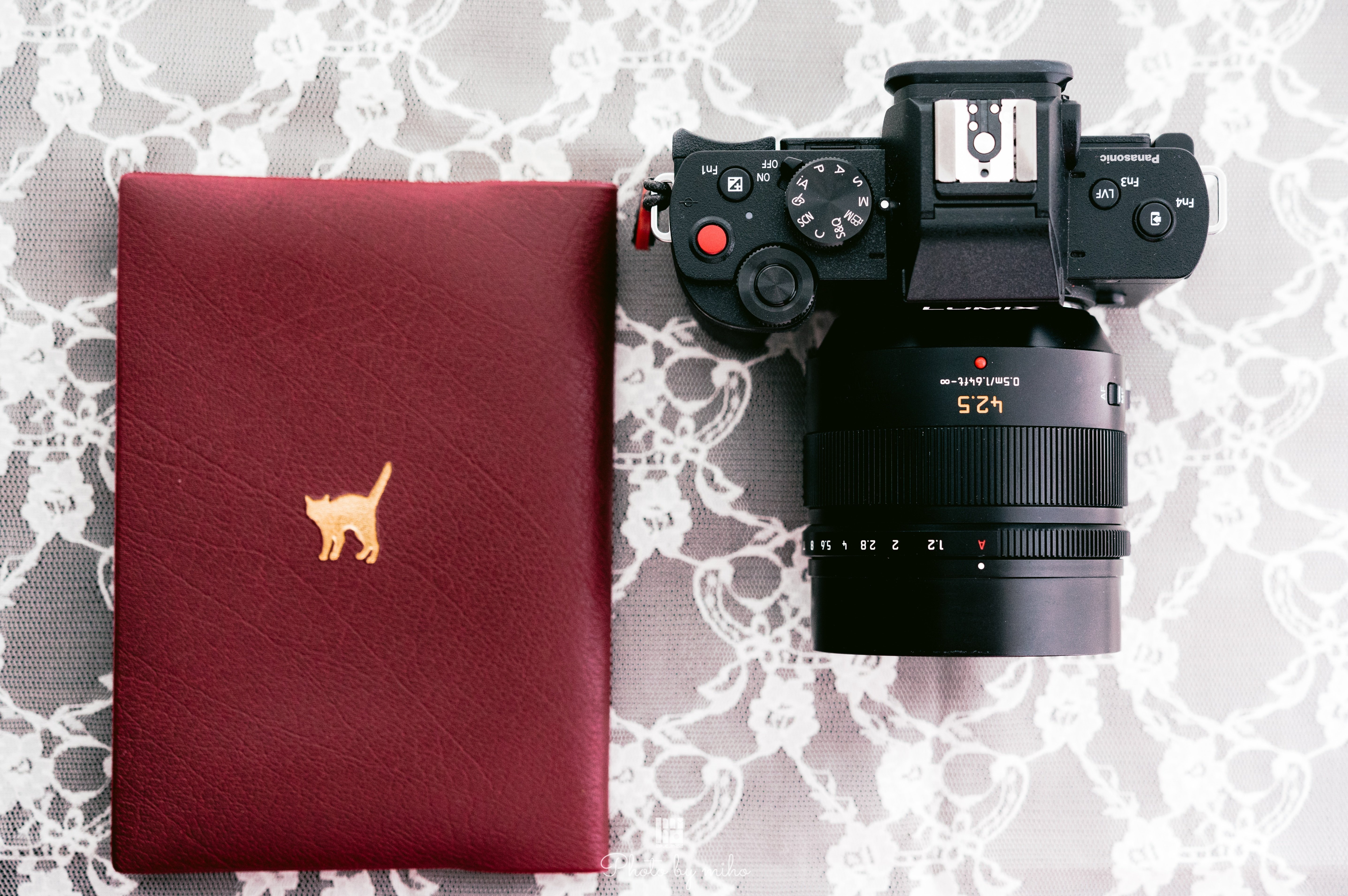 LUMIX G100とゆく│静岡の街を、4本のLEICA DGレンズで撮る|miho LUMIX G100とゆく│静岡の街を、4本のLEICA DGレンズで撮る|miho