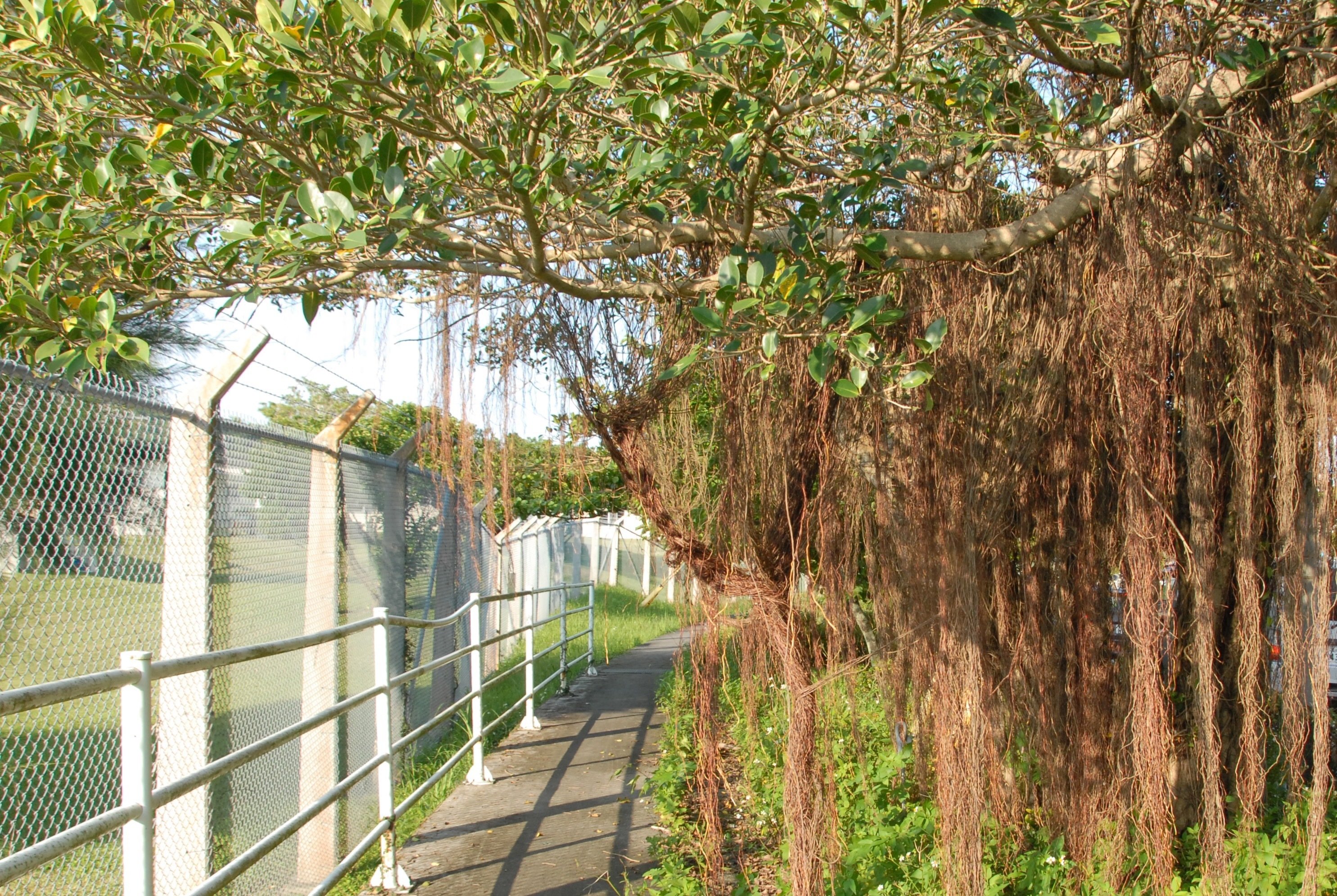 写真2題｜38gi.ryu