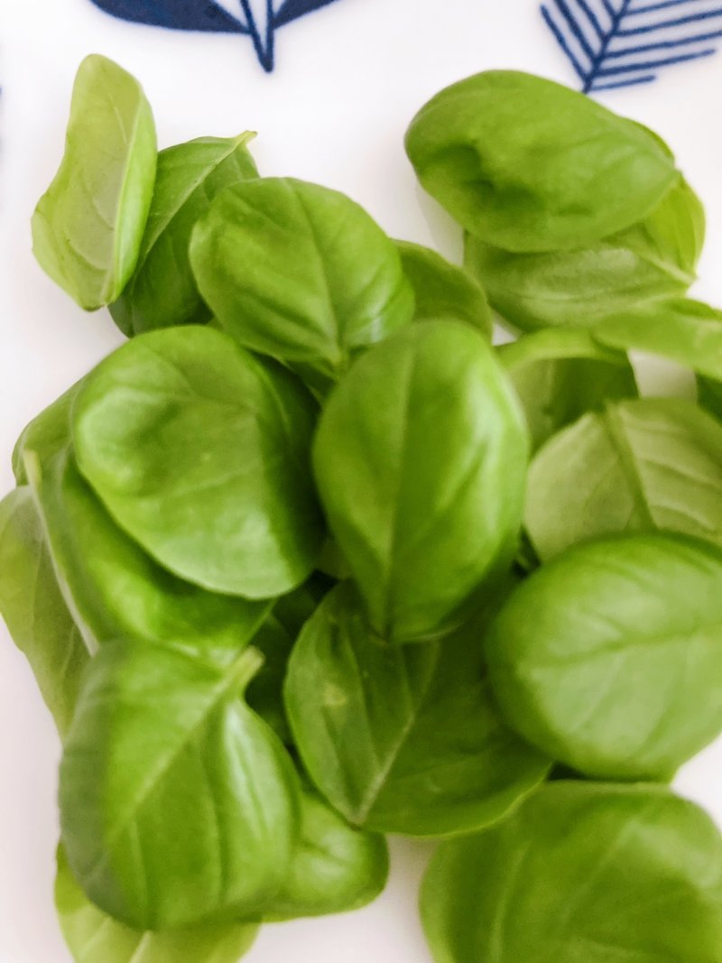 『テラス菜園・バジル』 #エッセイ｜Hitomi｜note