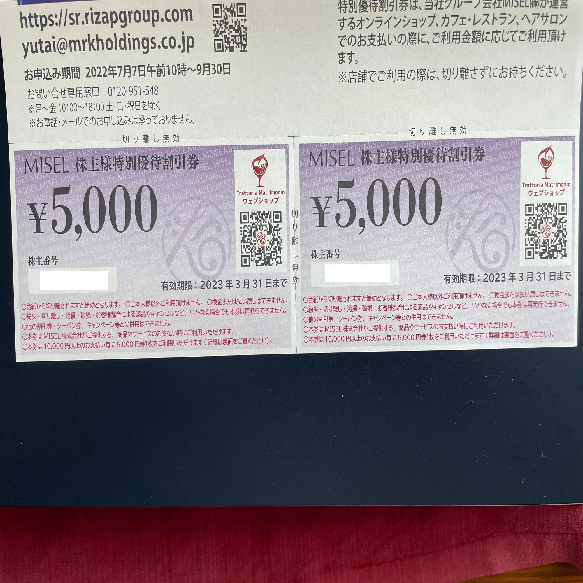 MISEL 株主割引券 お気に入 - レストラン・食事券