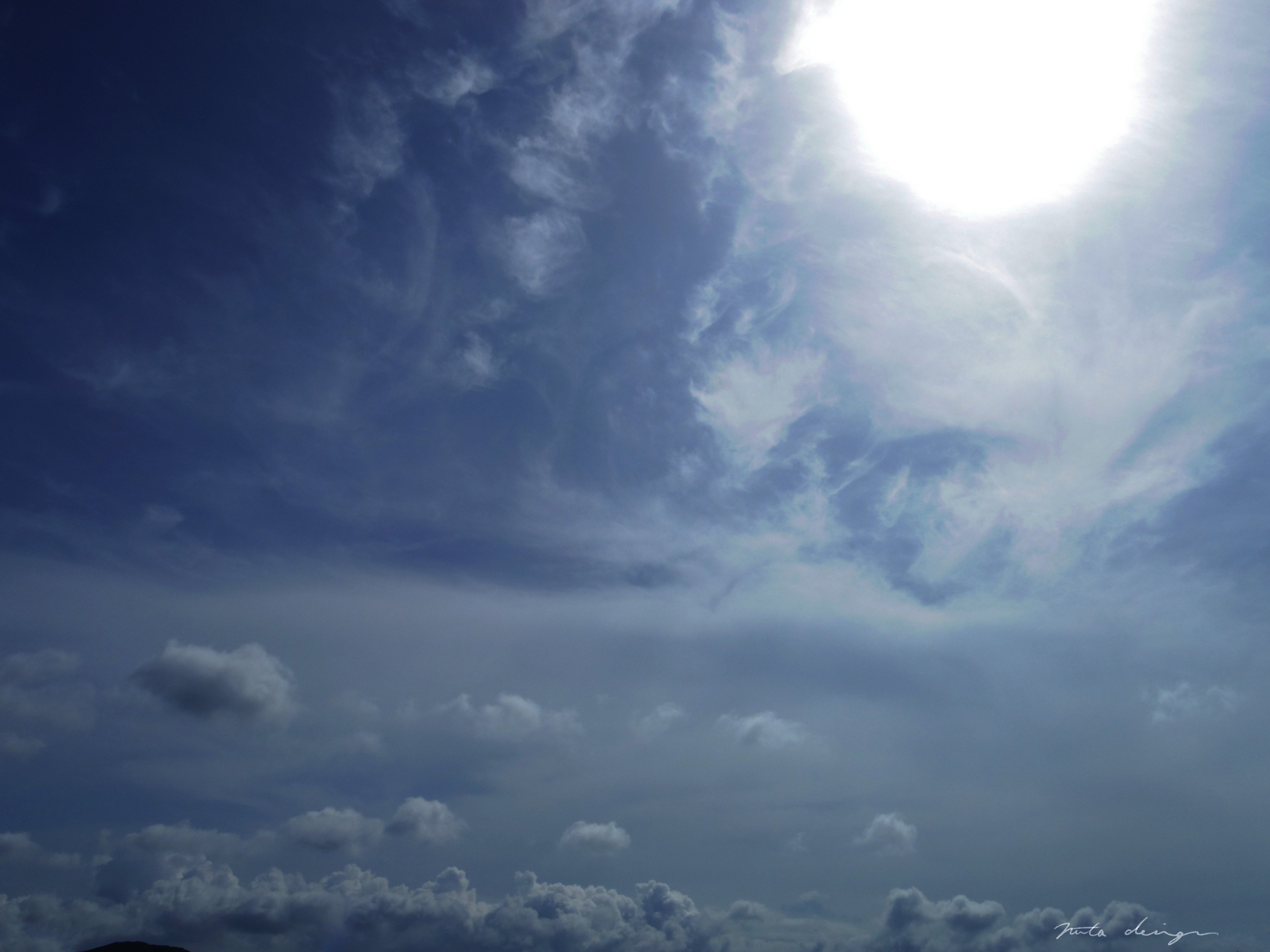 蝉も休み休み｜nuta design｜note