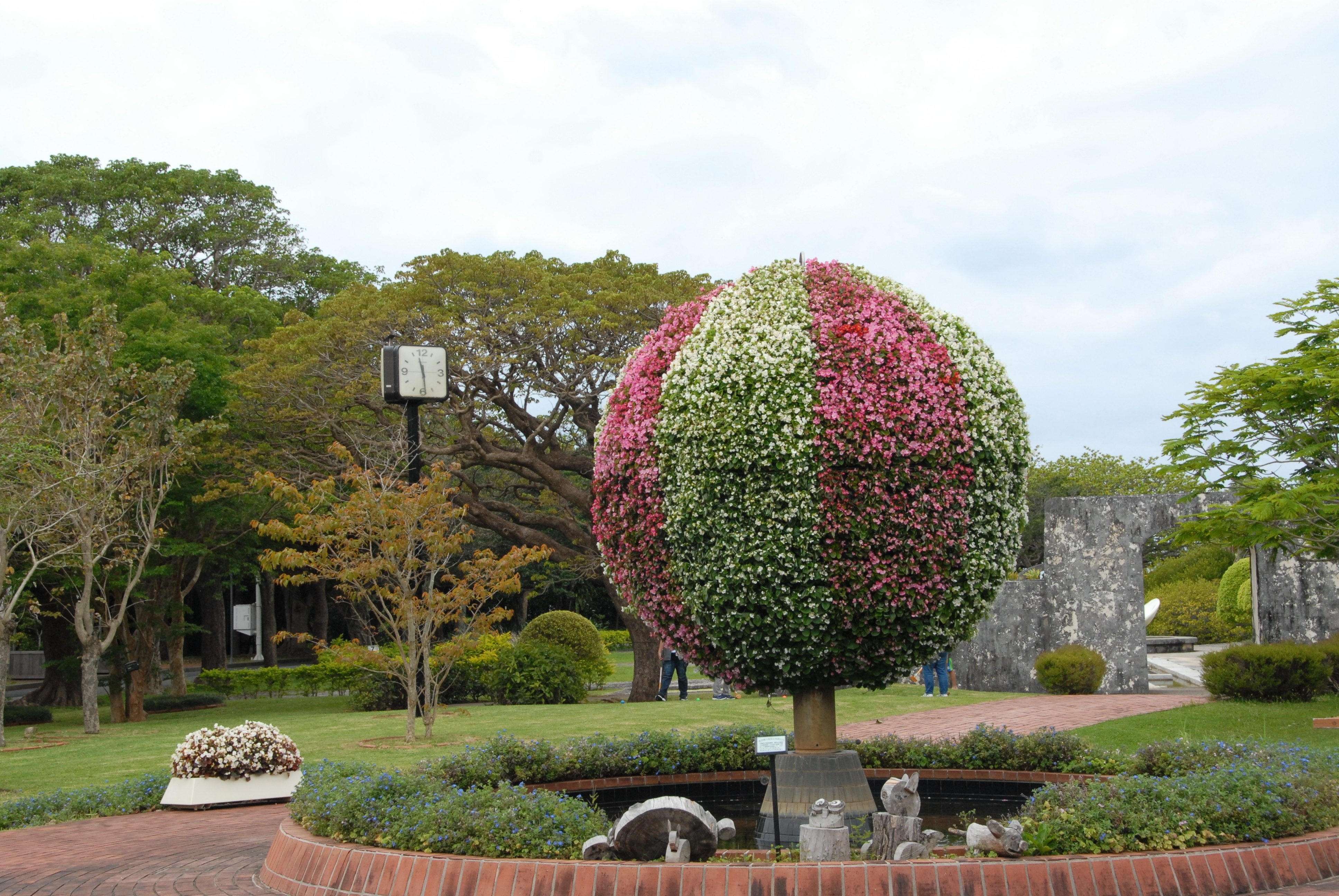 写真2題｜38gi.ryu