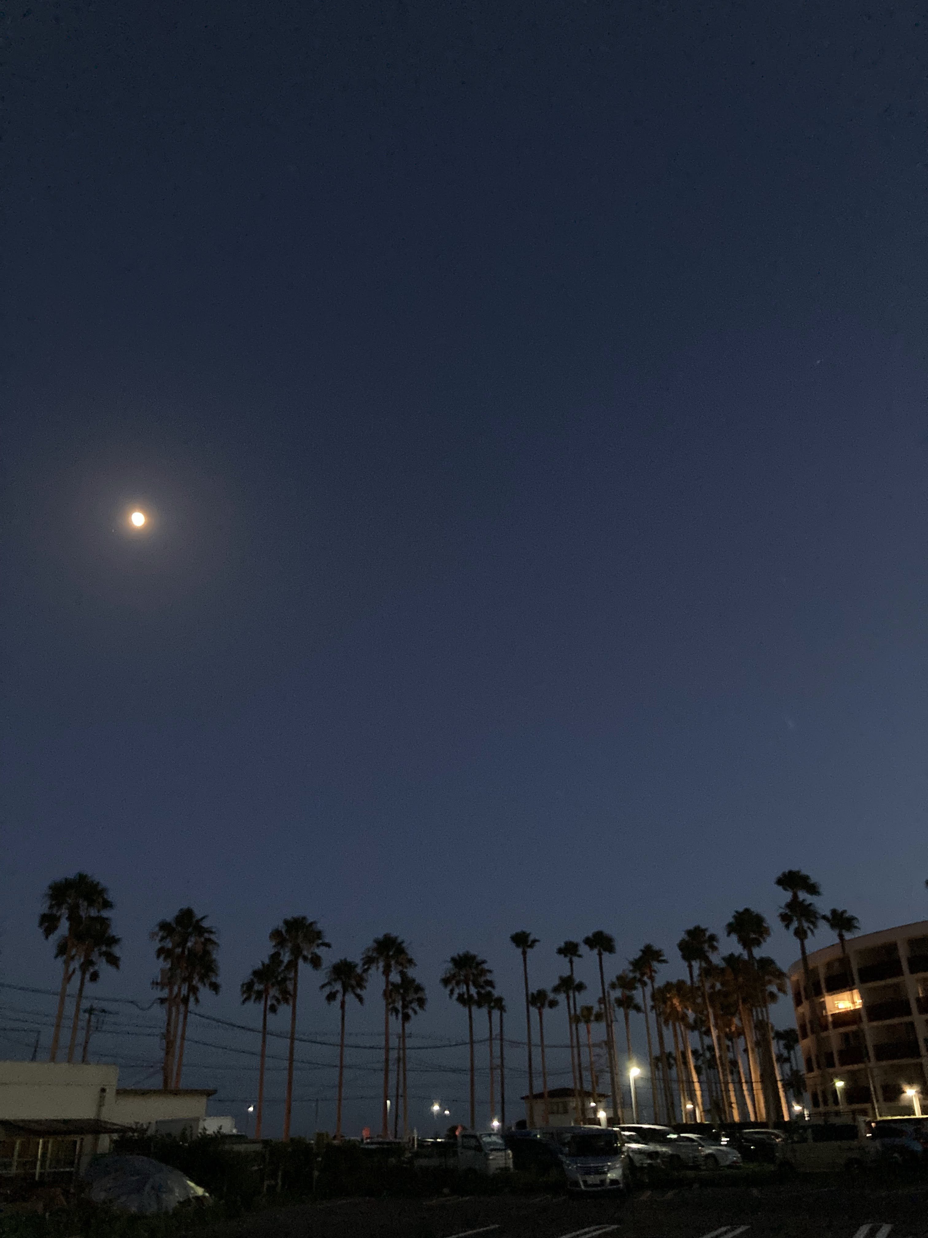 夏夜｜BeachsideWorks