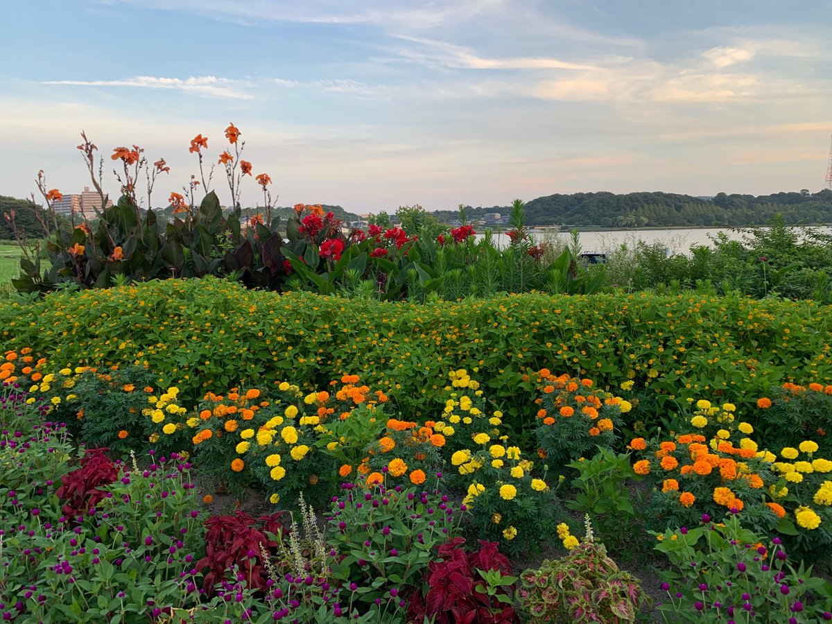 【心と身体を整える～～断食道場＠龍雲寺4日目】｜Masashi Kamimura