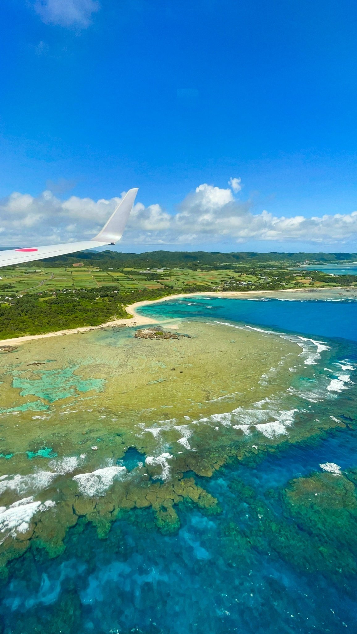 ️空と海と大地を楽しむのんびり家族旅 【奄美大島編 Day1】｜Koichiro Miyoshi