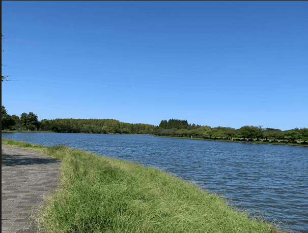 Highlights along the Edogawa River｜m_shigetomi