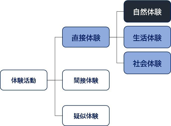 体験活動とその効果｜Junichi Hagiwara