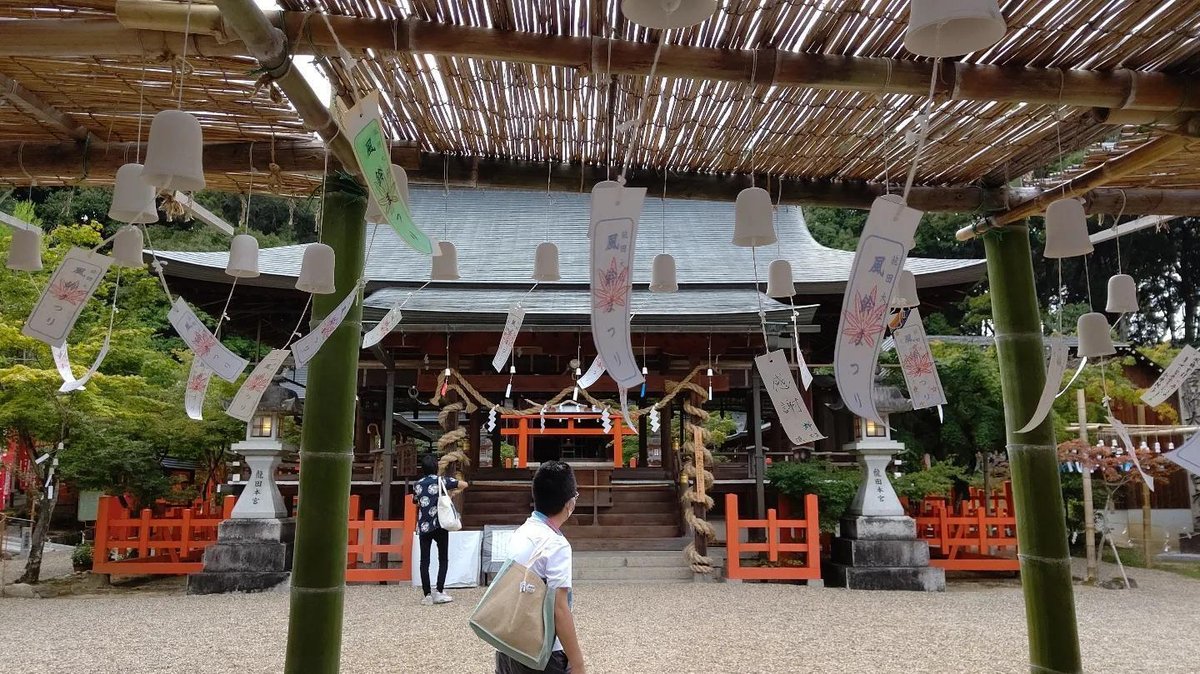 奈良クラブ【外野の観戦記（vsFCティアモ枚方）R4.8.19】｜外野のガヤおじさん⚽🦌