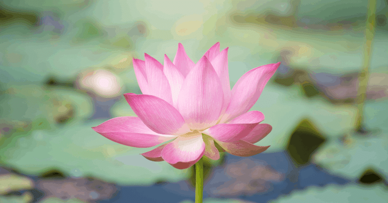 存在力を高めるということ。｜Cicari_no