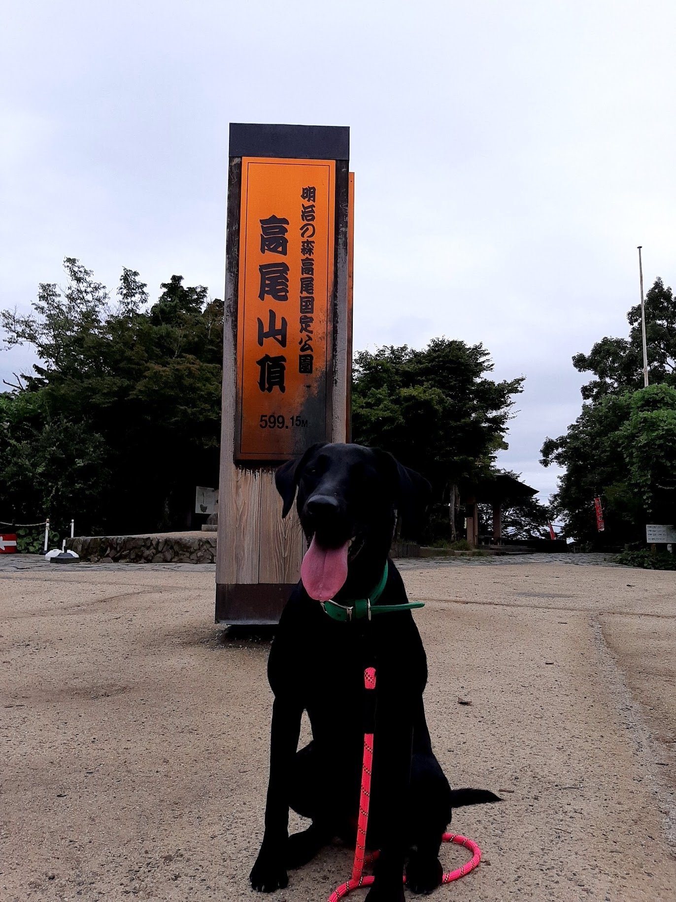 初登山は高尾山｜rupi｜note