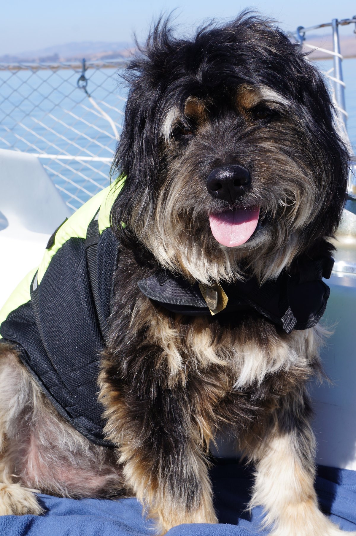 ヨットでお出かけ最終回：サンフランシスコ交通の要だったペタルマ運河を上ったよ｜みかどん（Mikako Hoshi)