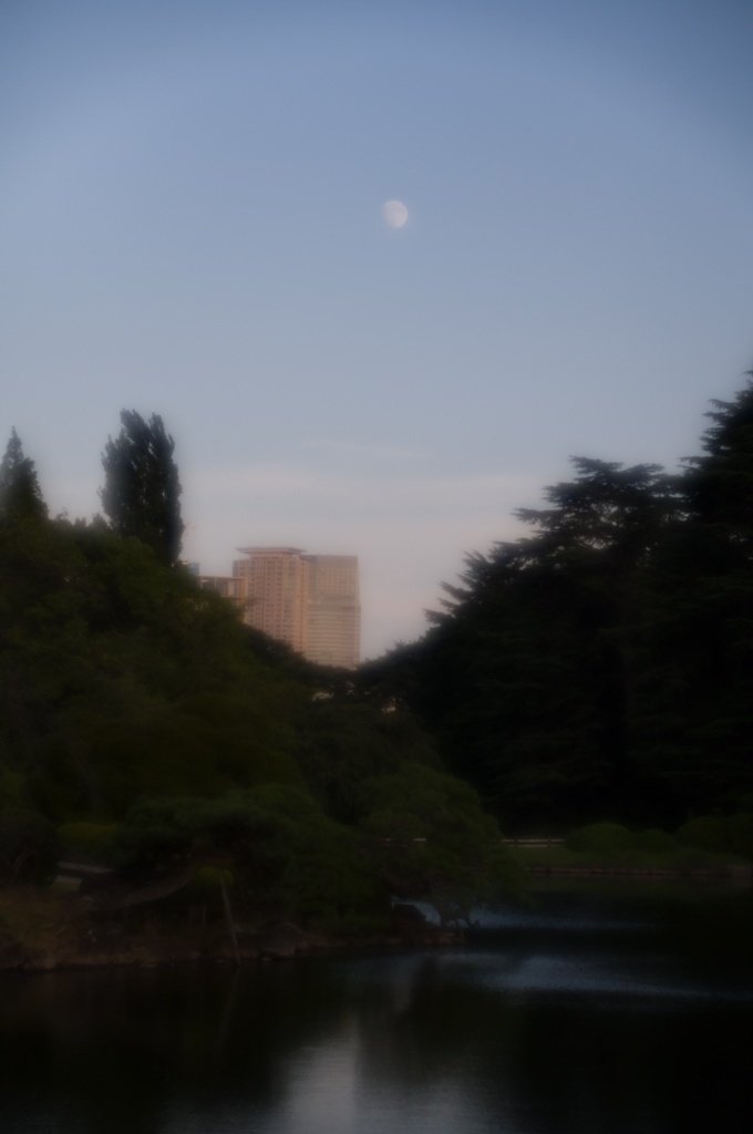 Leica M11 / Thambar 90mm f2.2｜tsuyoshi.m