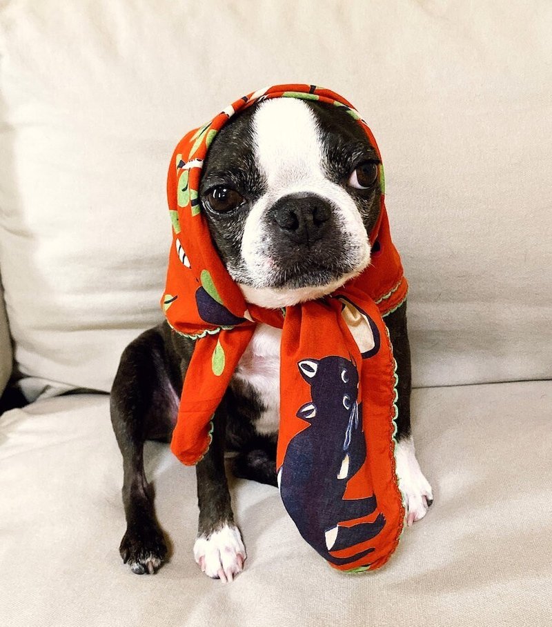 KILKI コラボ企画アイテム第3弾 ｜KILKI｜note