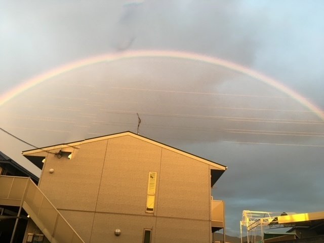 雷恐怖症という不安障害〜うちのわんこの場合〜｜ビーバー｜note