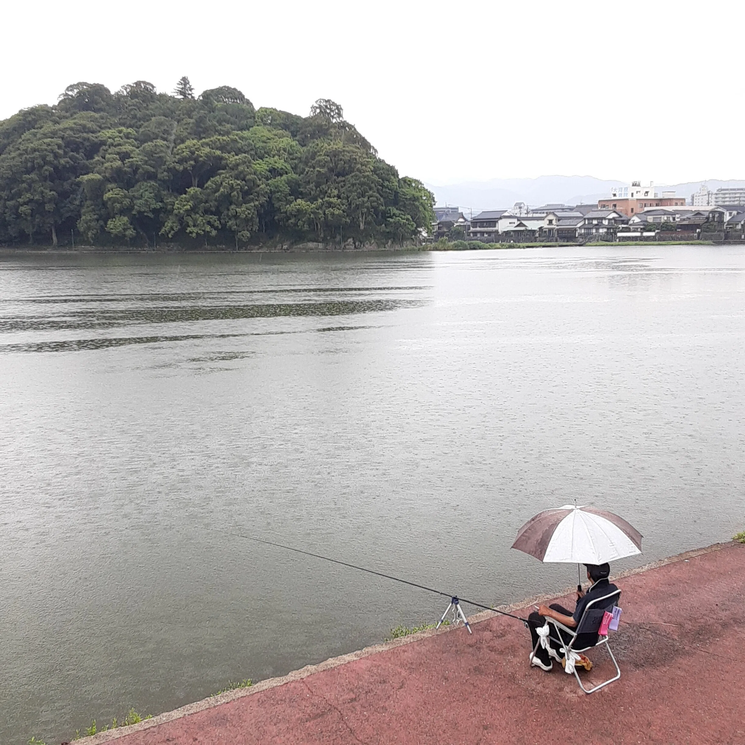 雨の日の午後｜chalosan