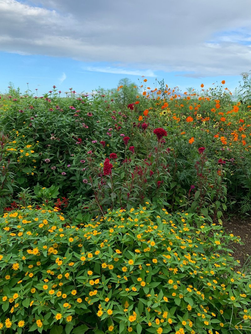 断食道場～第2章～「ちょうどいい加減を求めて」2日目｜Masashi Kamimura