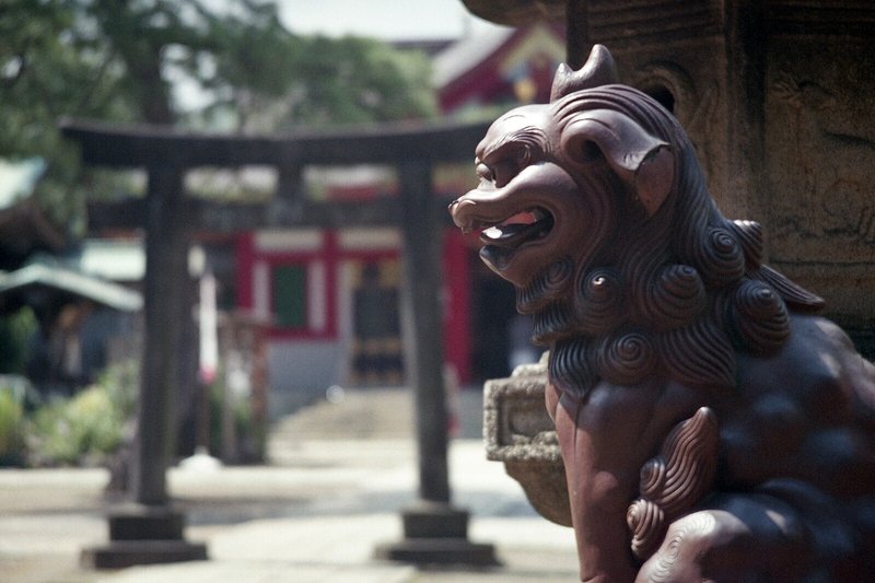 カメラの話を徒然に(14)｜robert_oku