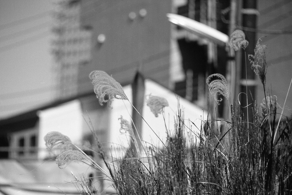 カメラの話を徒然に(14)｜robert_oku