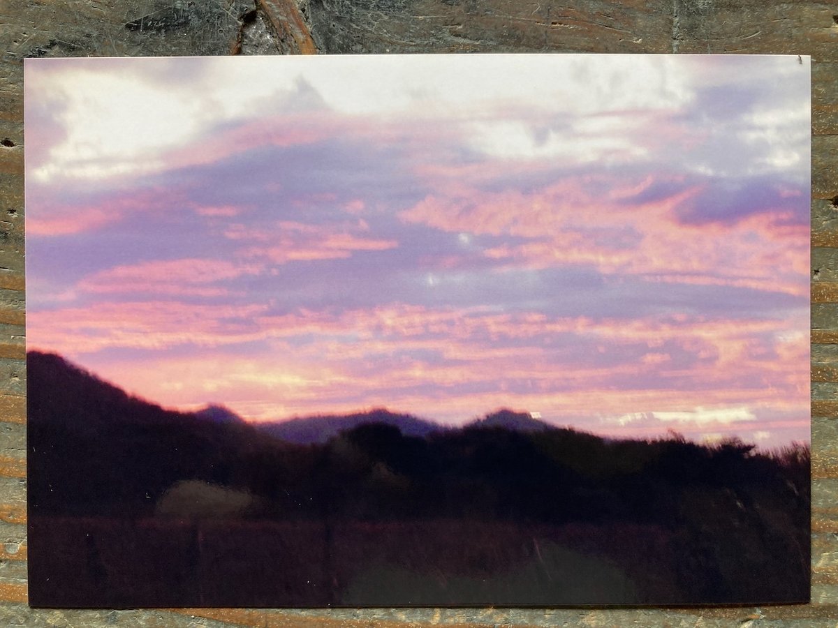 馬日記・その17｜TABI便り