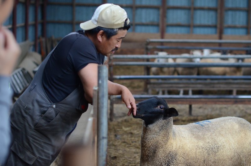 北海道600㎞、7人の羊飼いを訪ねて｜江六前一郎｜Ichiro Erokumae