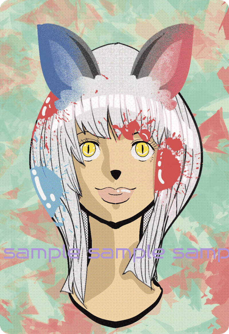 コレクション決めました…！｜tanukichi