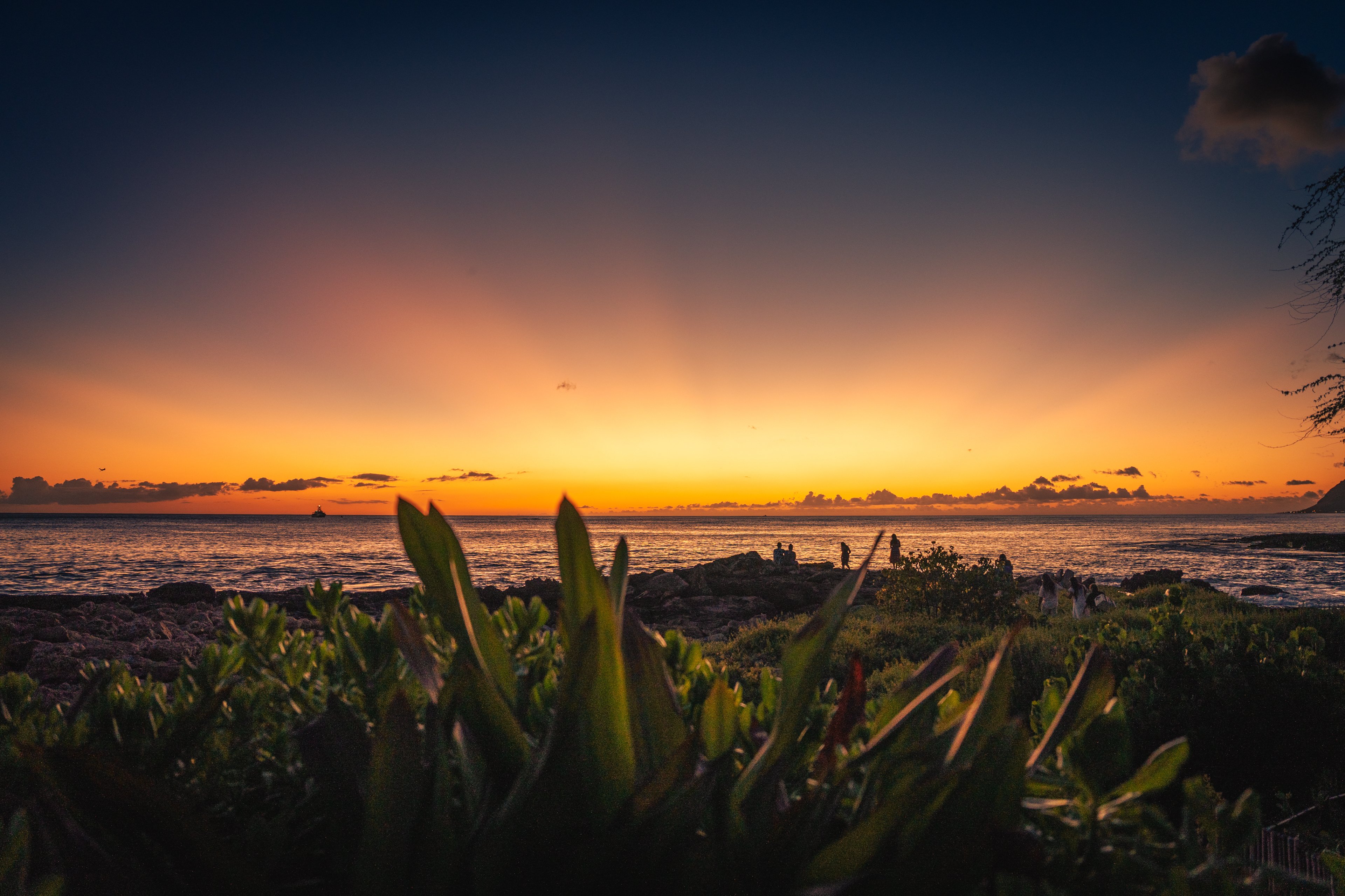 Beautiful Sunset!｜Takuya