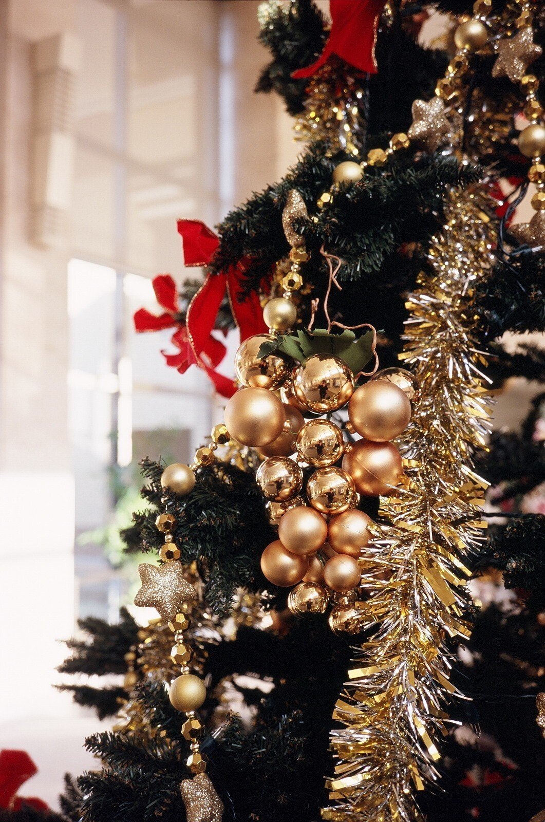 カメラの話を徒然に(19)｜robert_oku