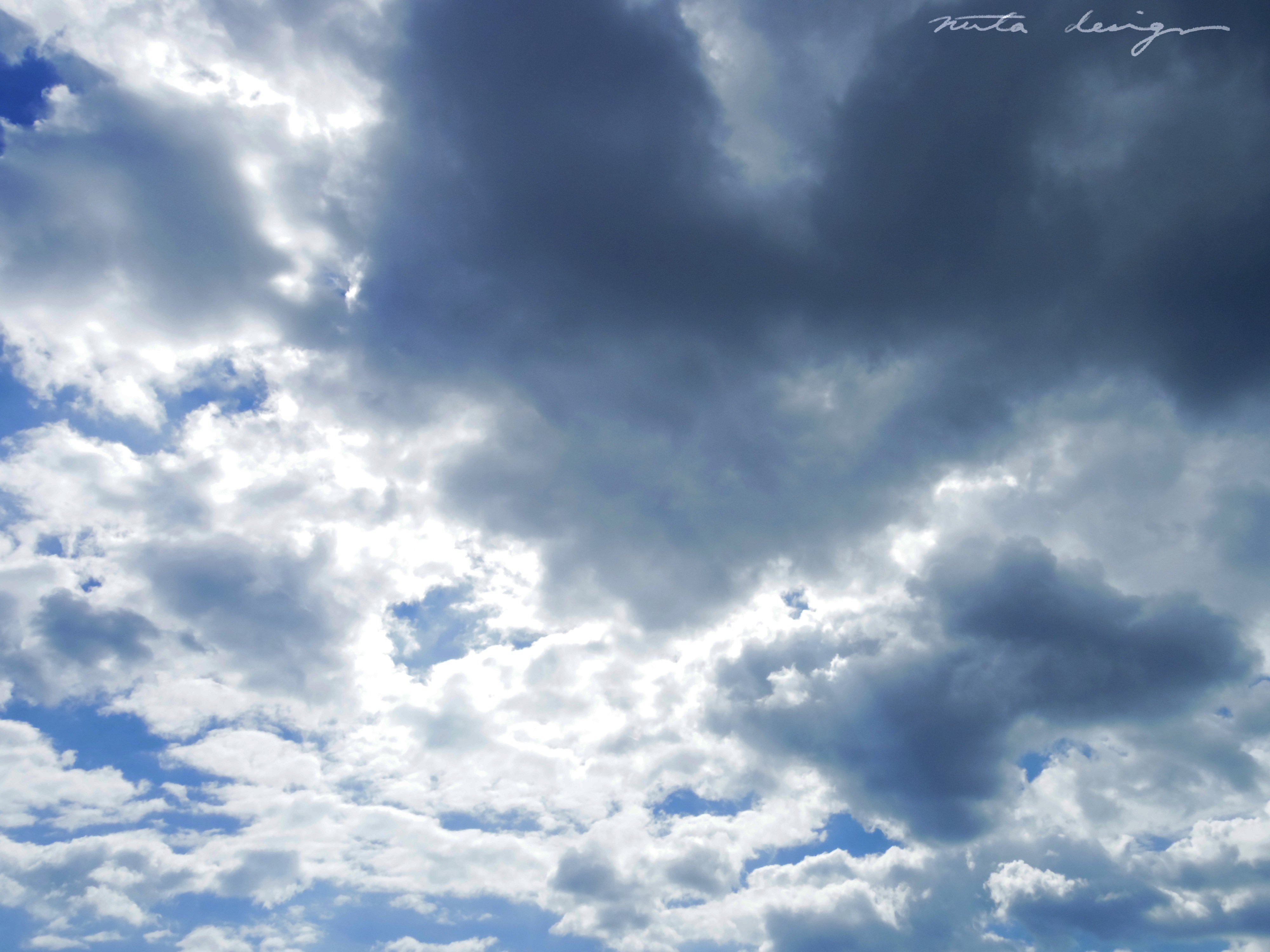 慌ただしくざわざわと｜nuta design