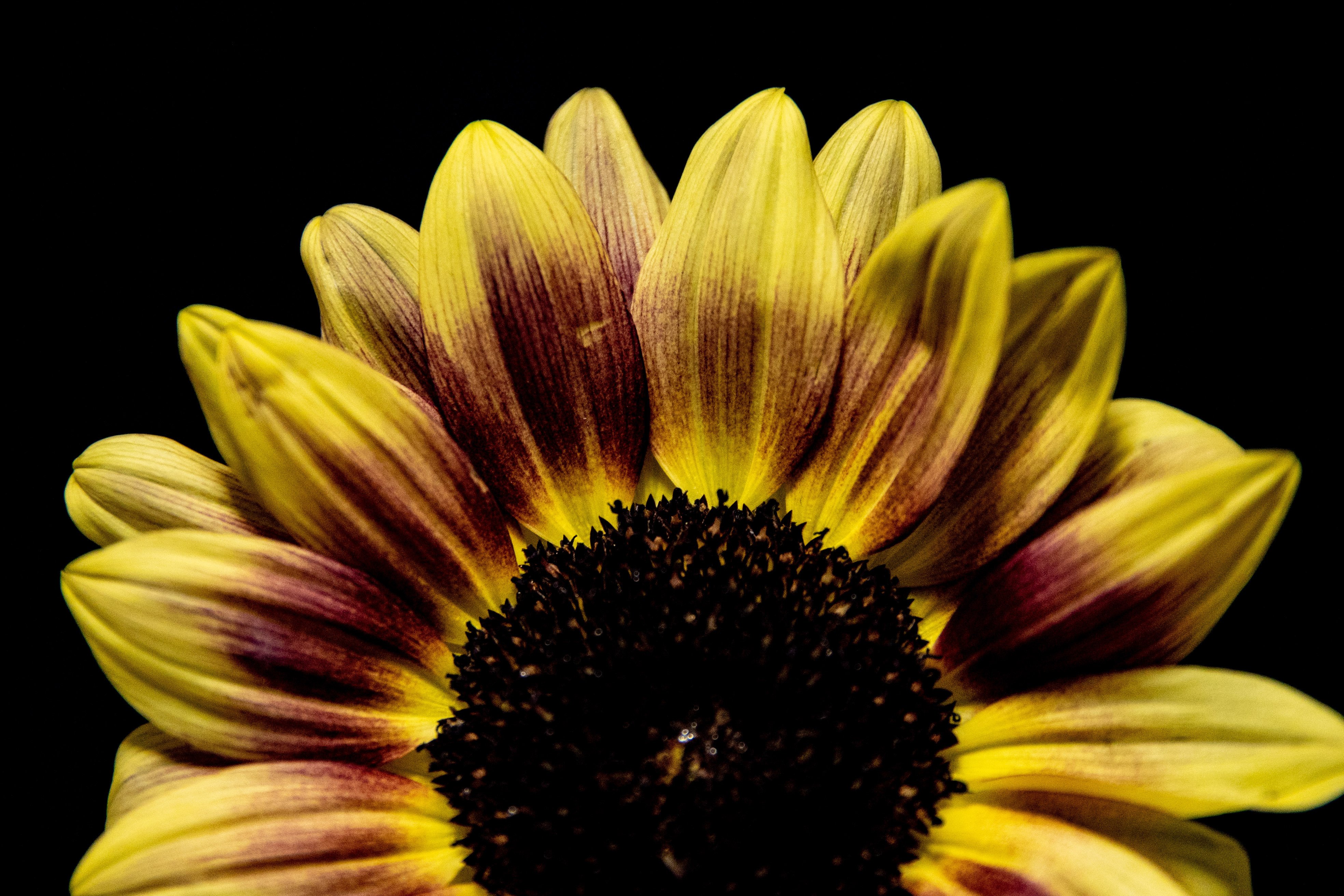 2209XX - 02｜yuki kimura