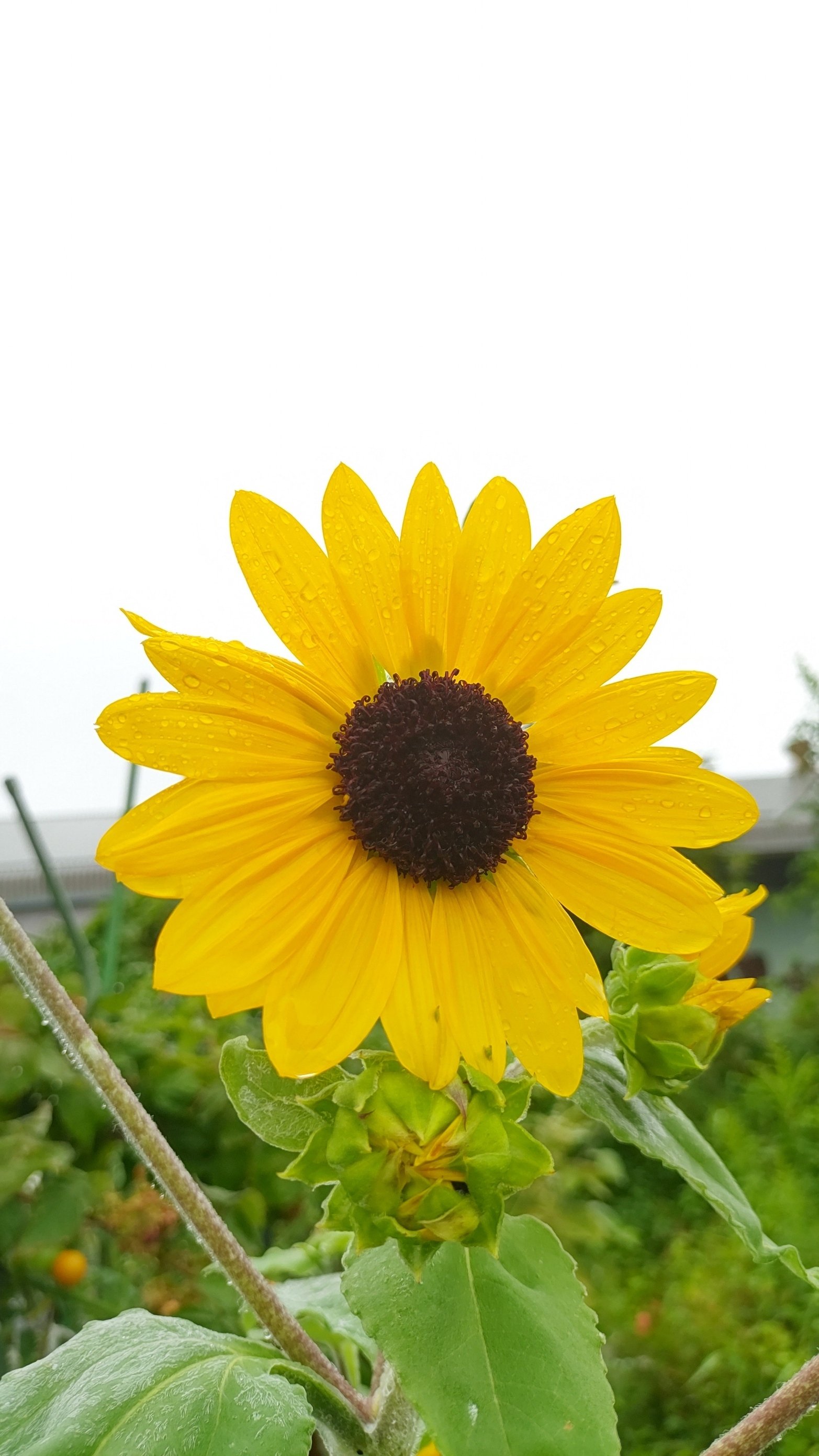 歩いた場所9月18日昼｜徒歩出移行