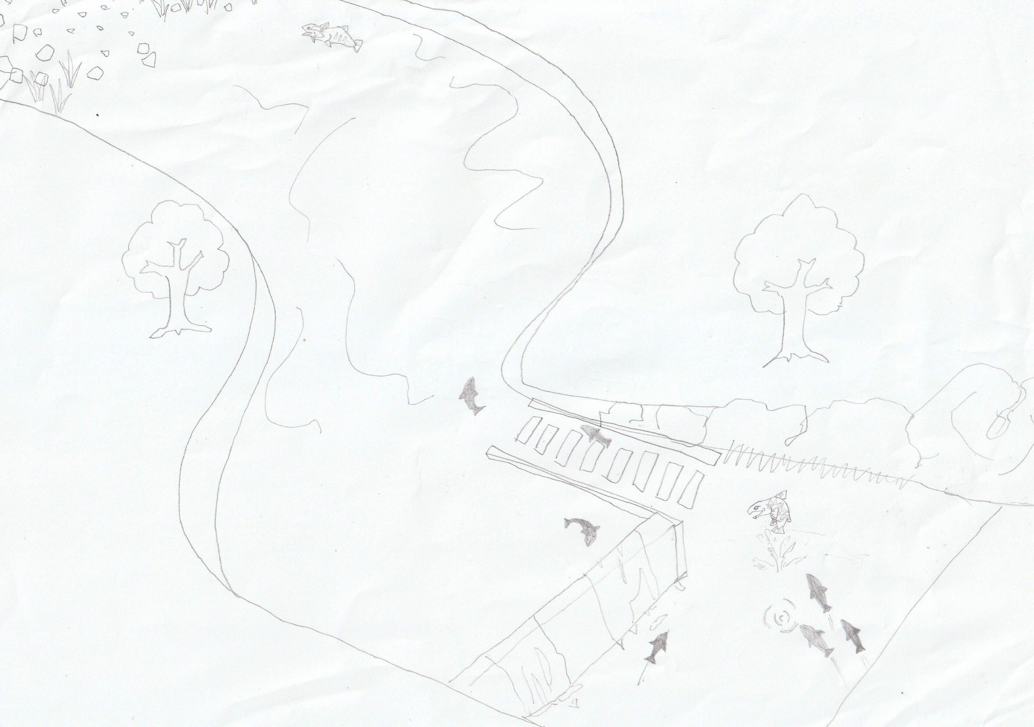 ビワマスと魚道（途中）｜Tomoyan_and