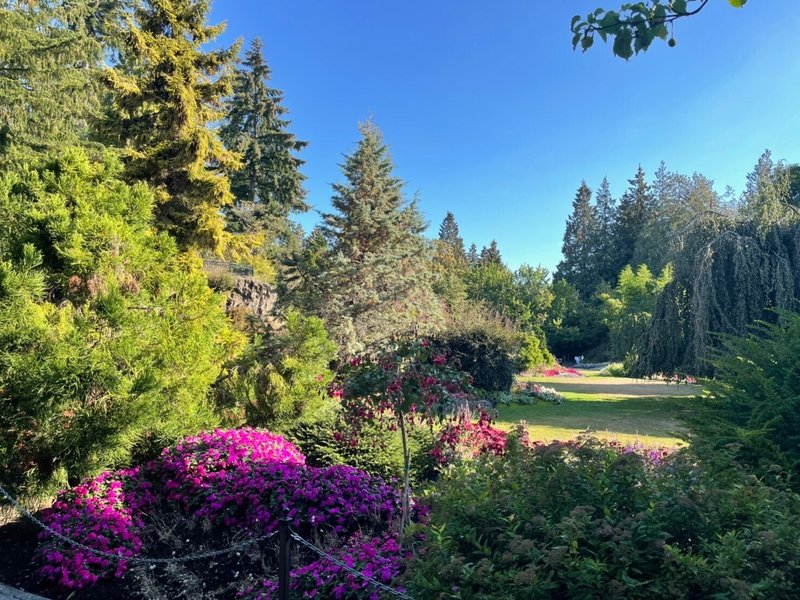 夜のバンクーバー｜竹内 龍（Ryo Takeuchi）