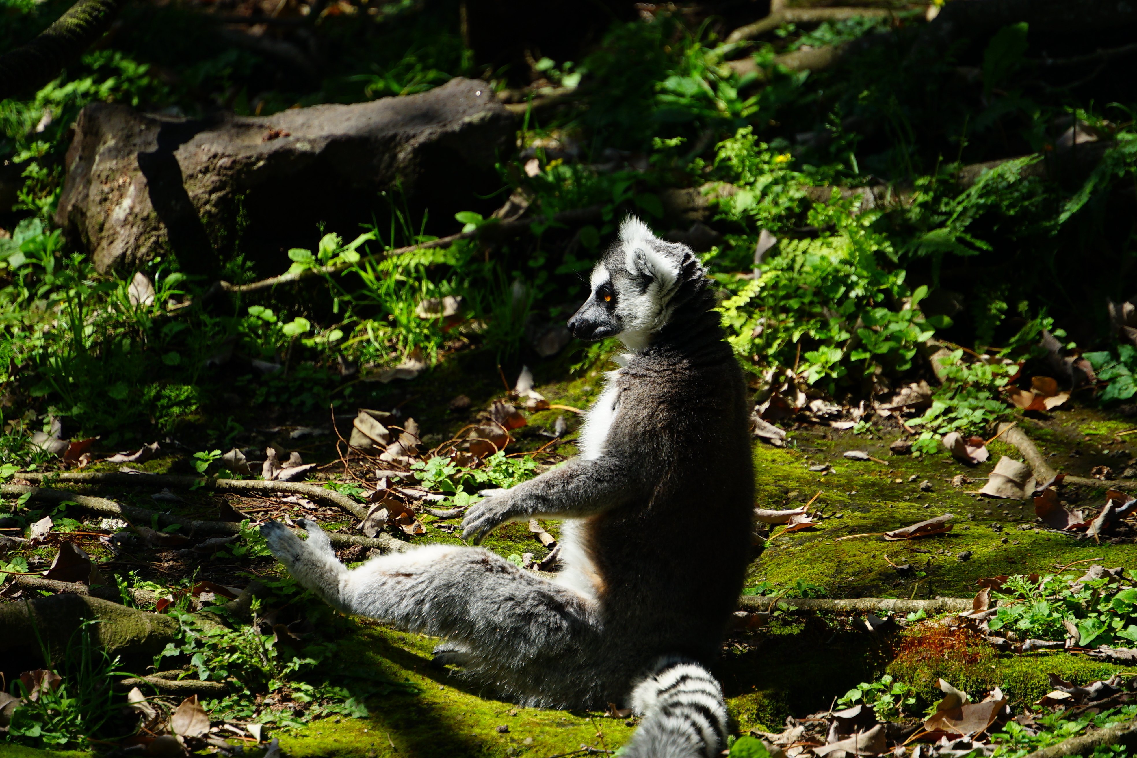 お〜い、背中流してくれ〜｜--- ︎カセットboy ︎---｜note