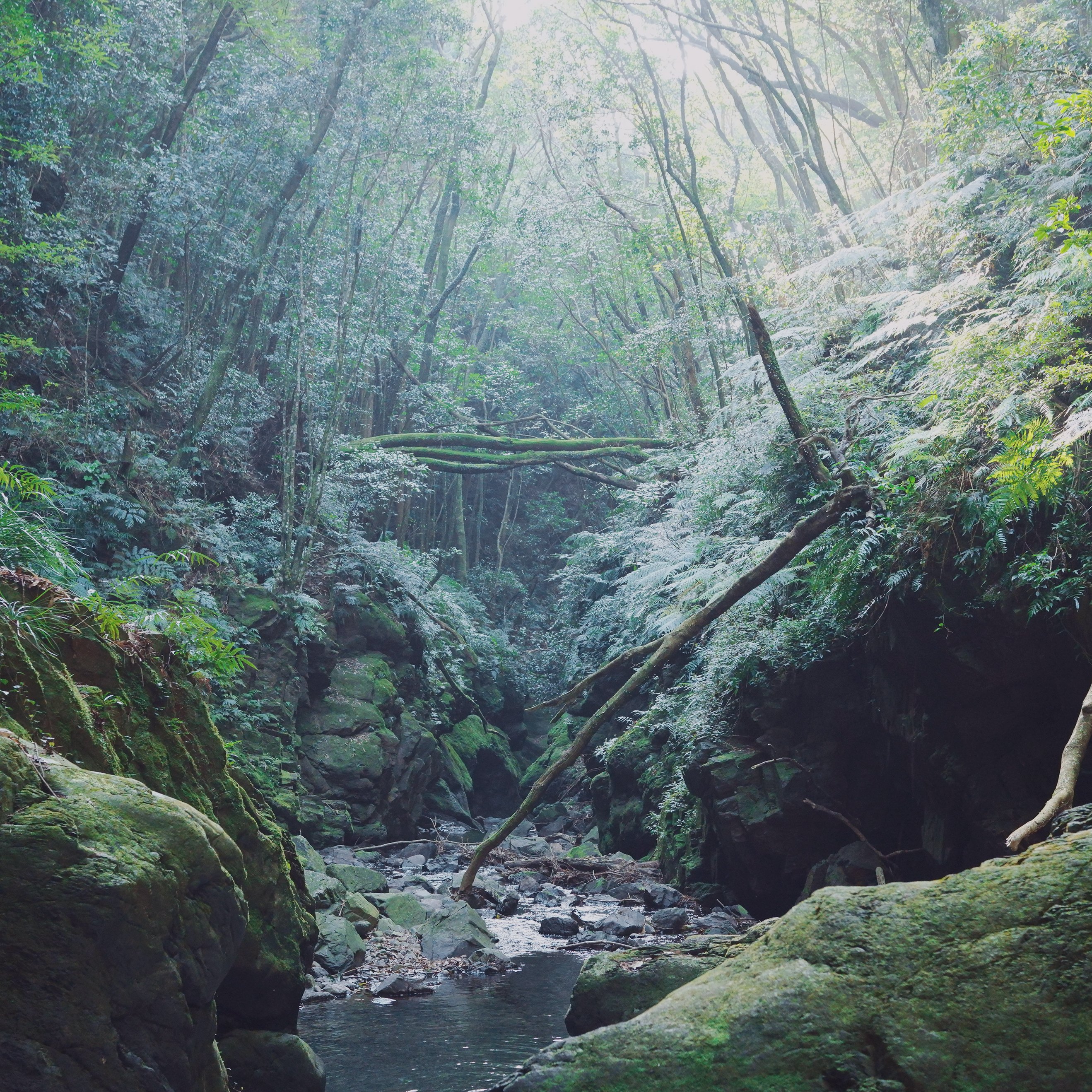 river×river｜ichikawa atsushi｜note