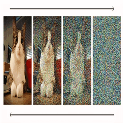 Cold Diffusion:ノイズのいらない画像生成拡散モデルについて｜IT navi｜note